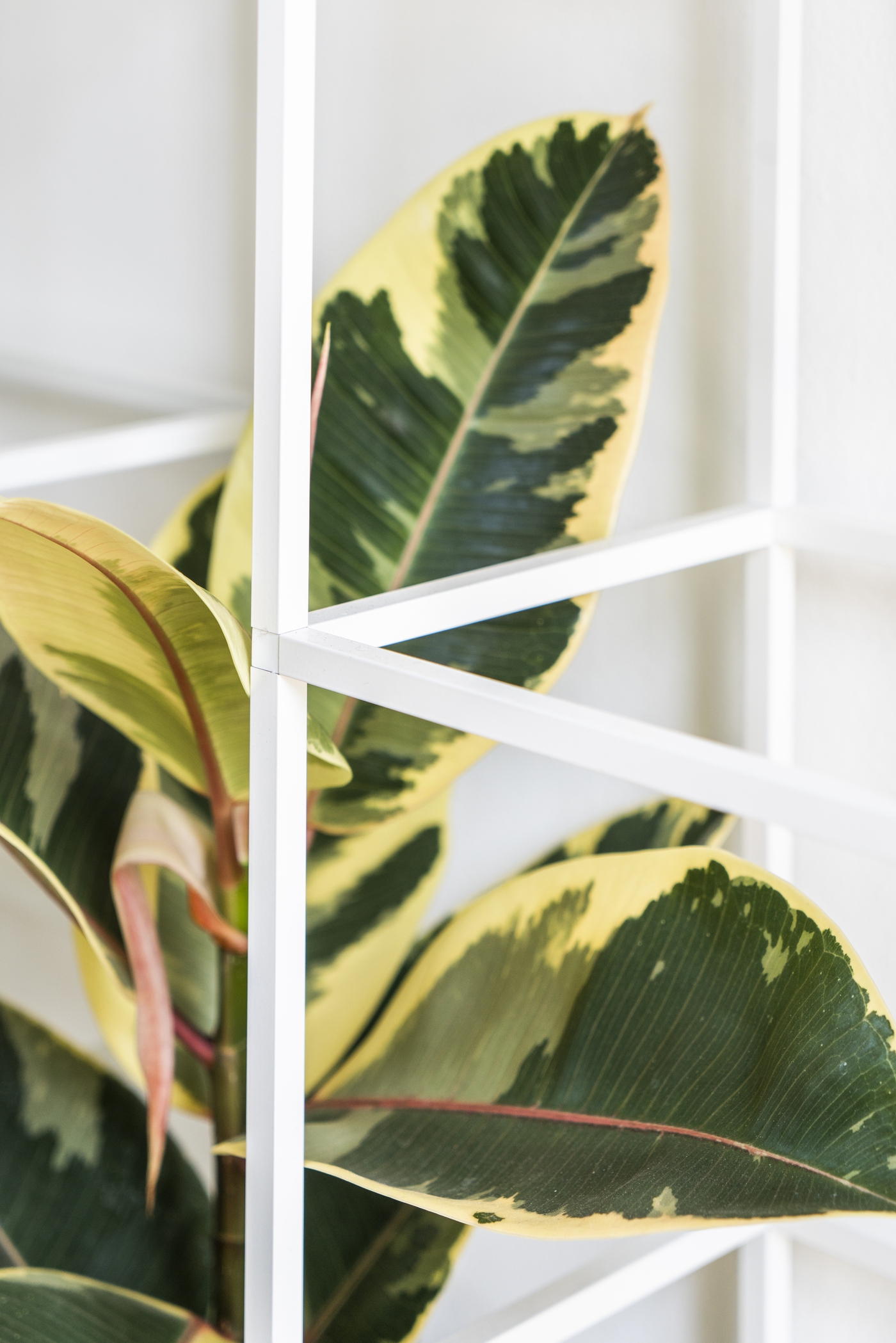 iPot | Get inspired!