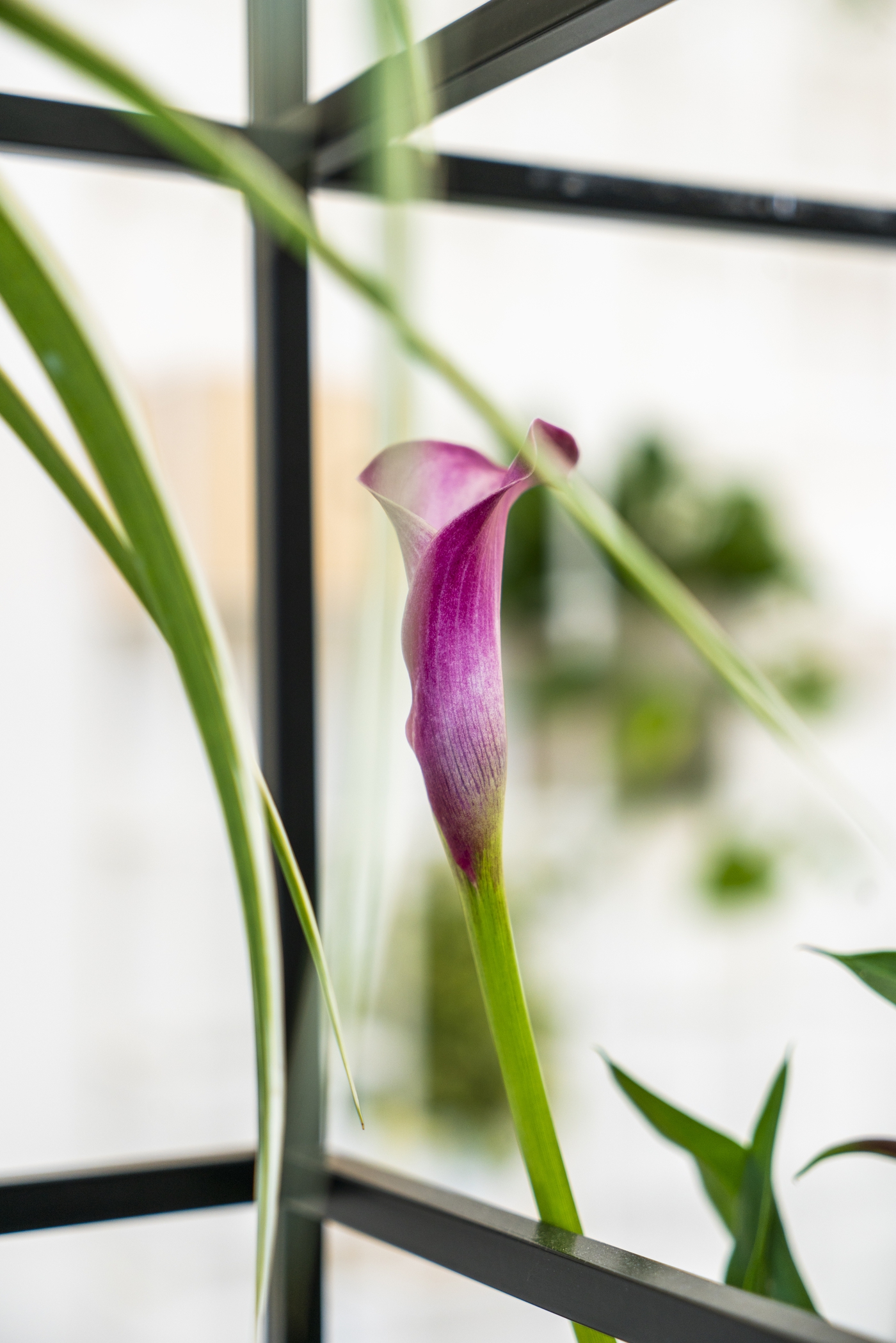 iPot | Get inspired!