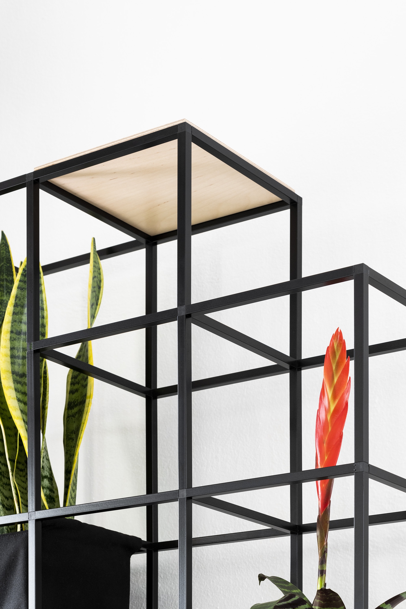 iPot | Get inspired!