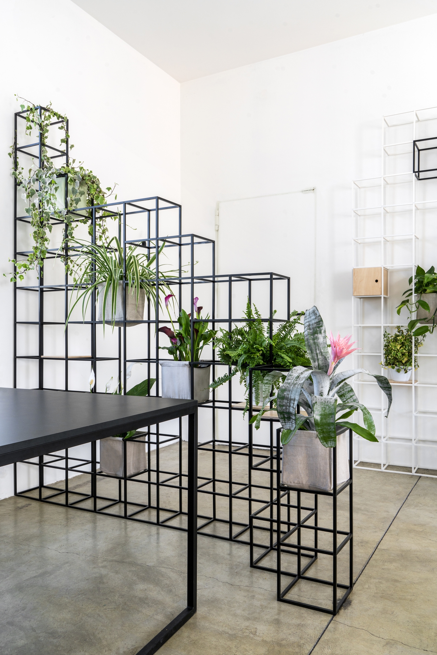 iPot | Get inspired!